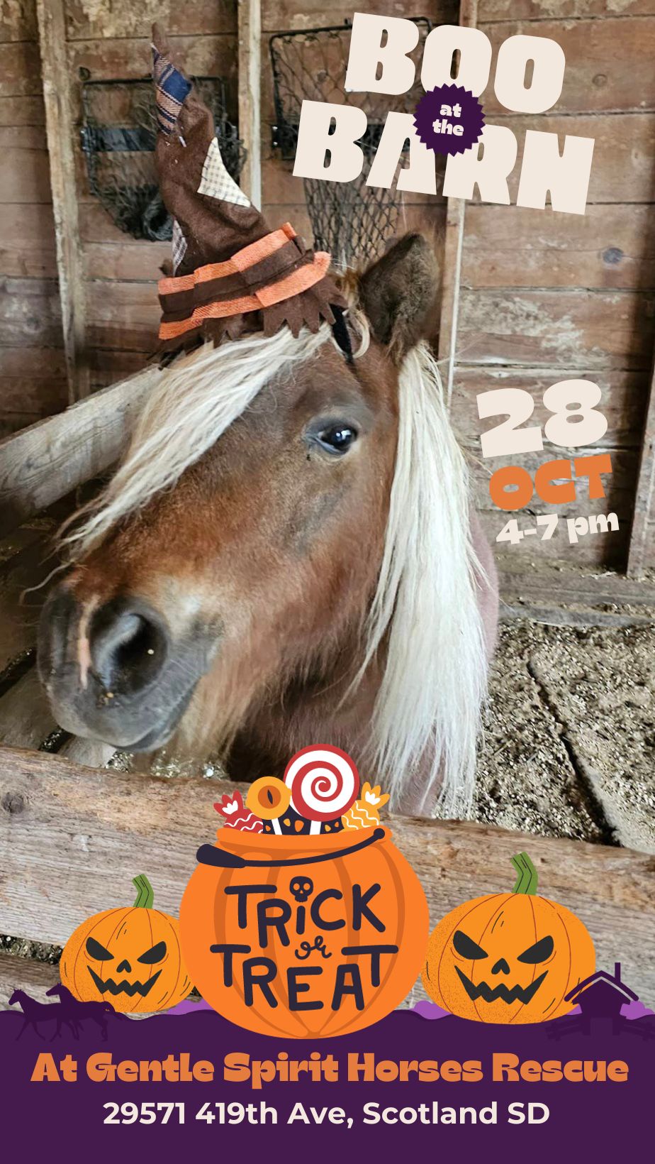 Update: Boo at the BARN!!!