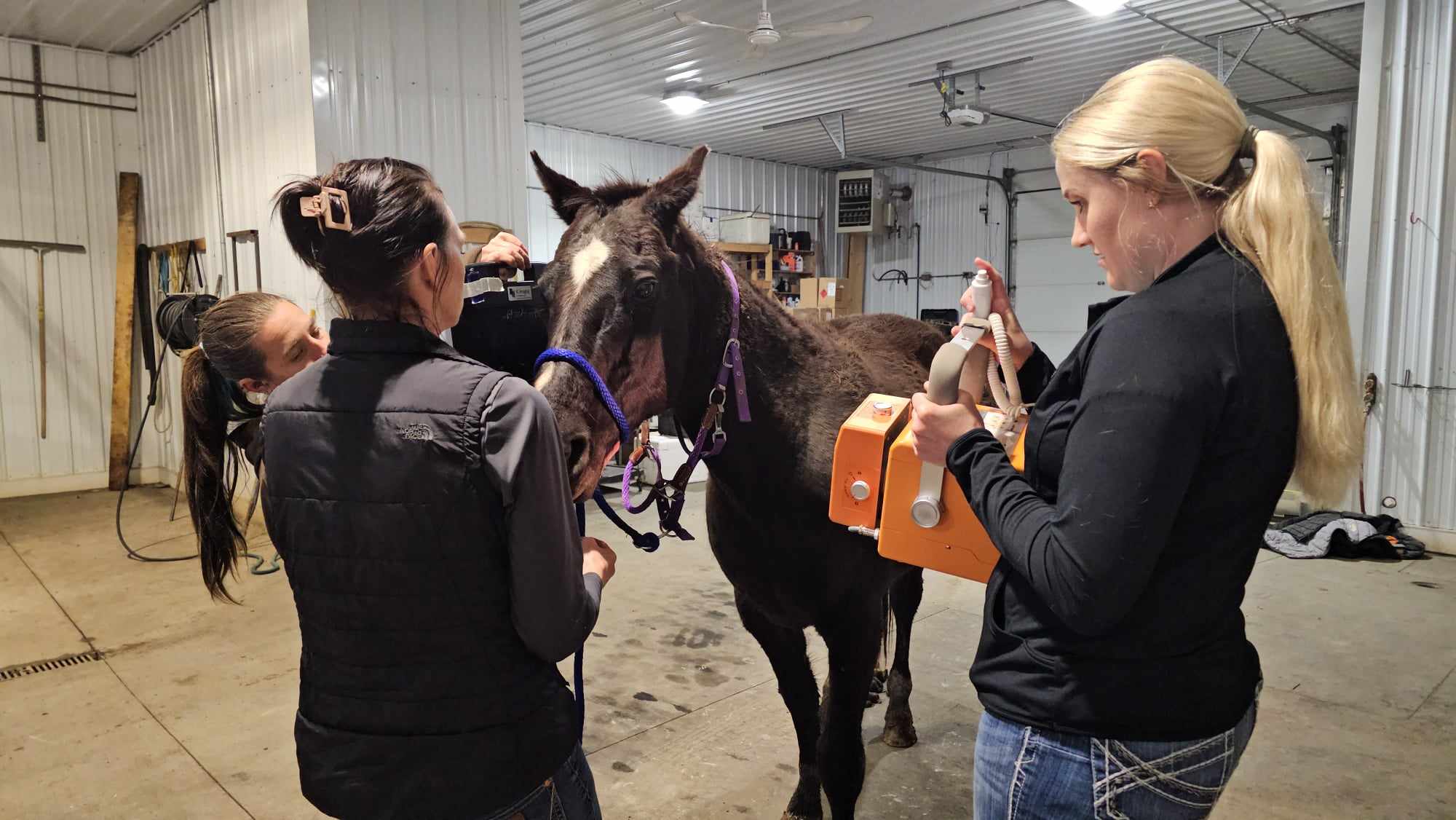 Walter needs sponsor!