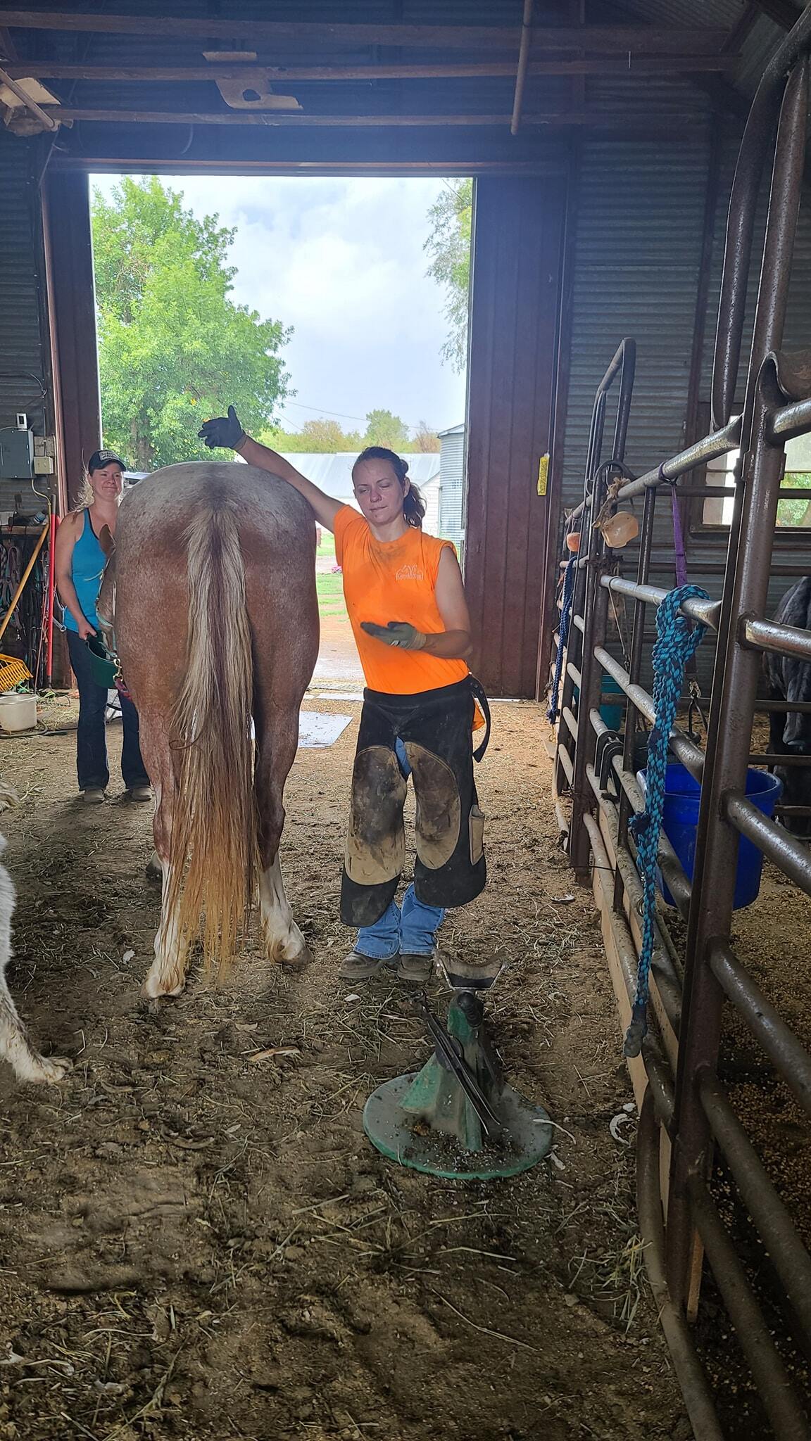 We are blessed to have an amazing farrier!