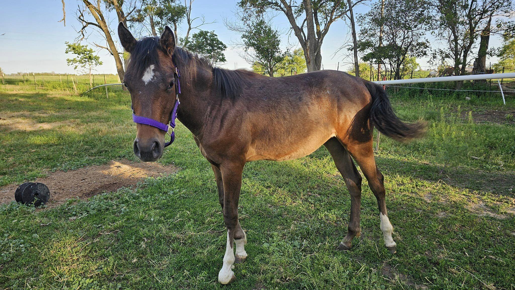 Winnie Update!