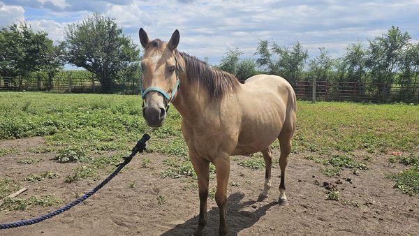 Does anyone remember this sweet baby? It's Casper!!!