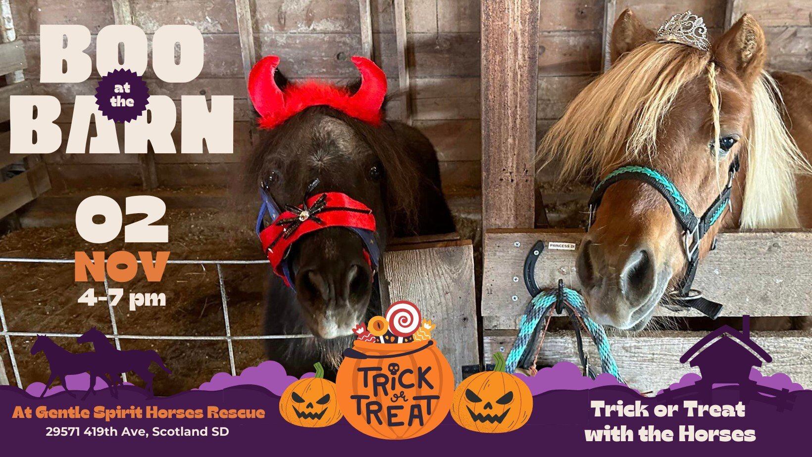 Boo at the Barn – Trick or Treat with the Horses!