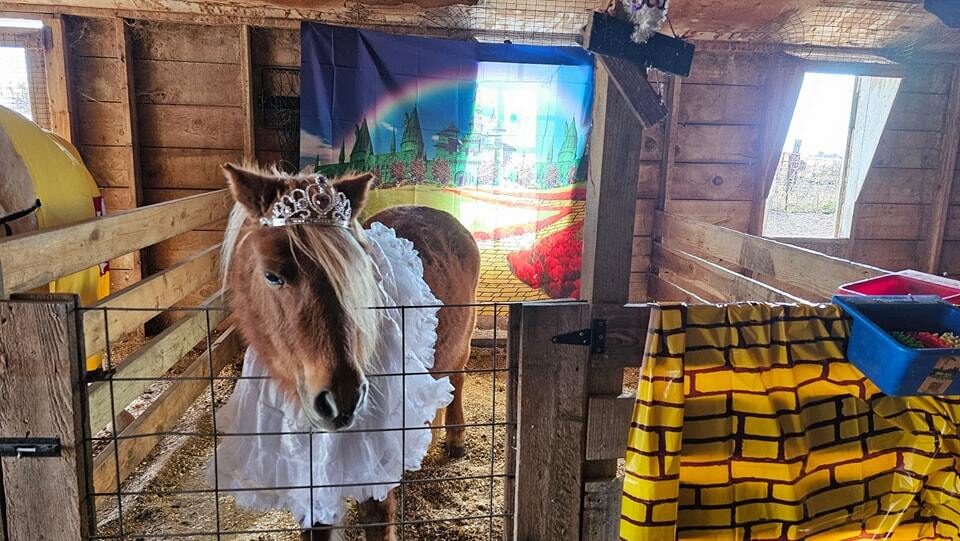 Boo at the Barn! Happy Halloween!!