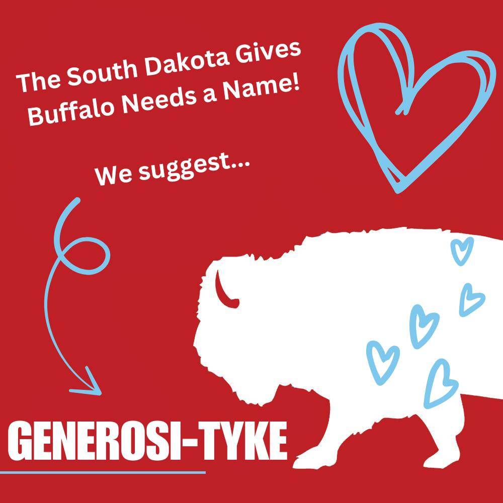 Say hello to **Generosi-Tyke**, our suggested buffalo mascot name for ...