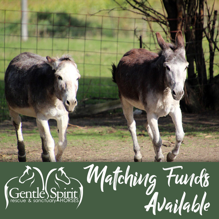 Matching Funds Available!