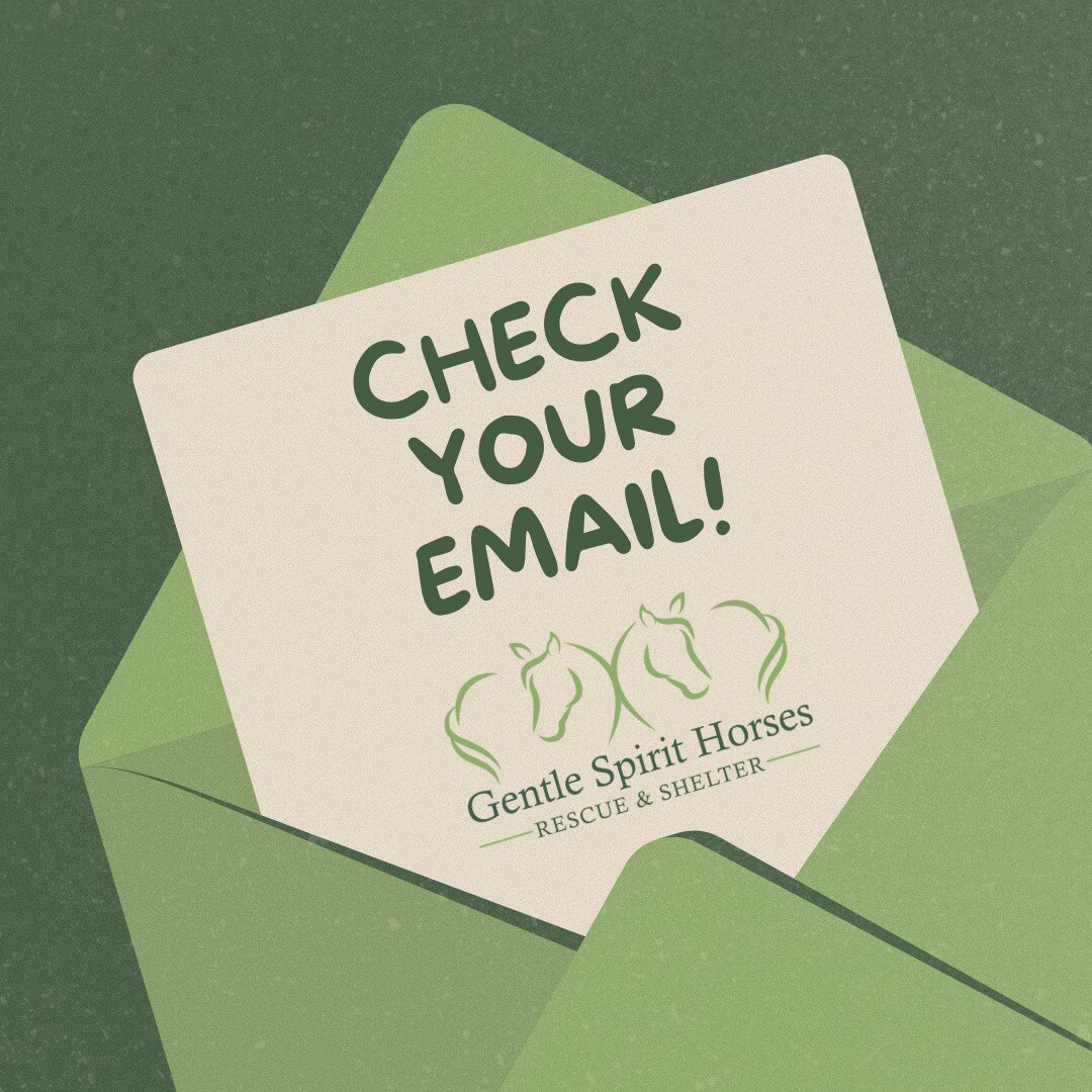 Heads Up!! Check your email!