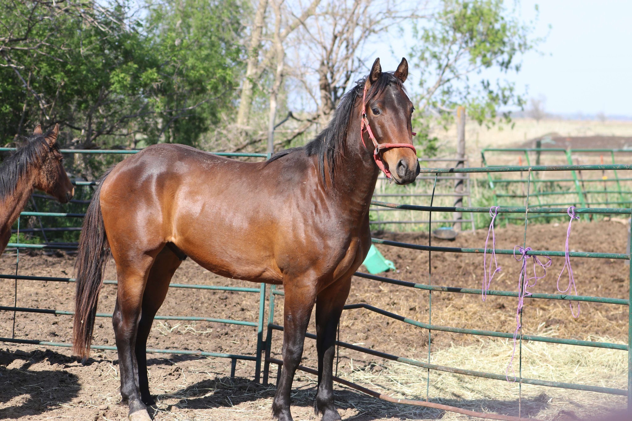 Saying goodbye to Roman!