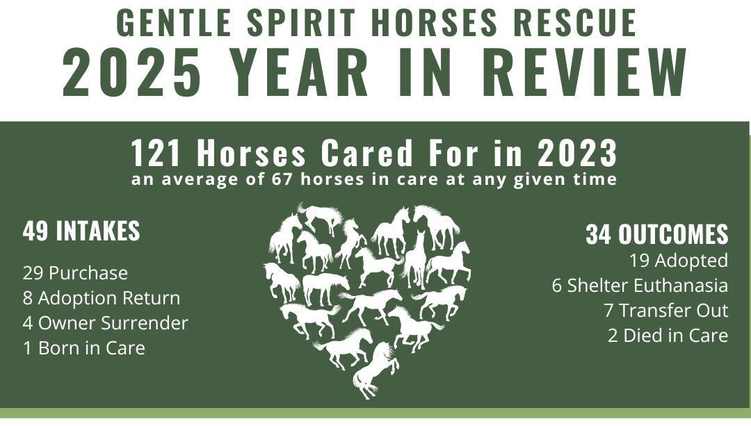 2025 Intake & Outcome Impact — Because of You!!