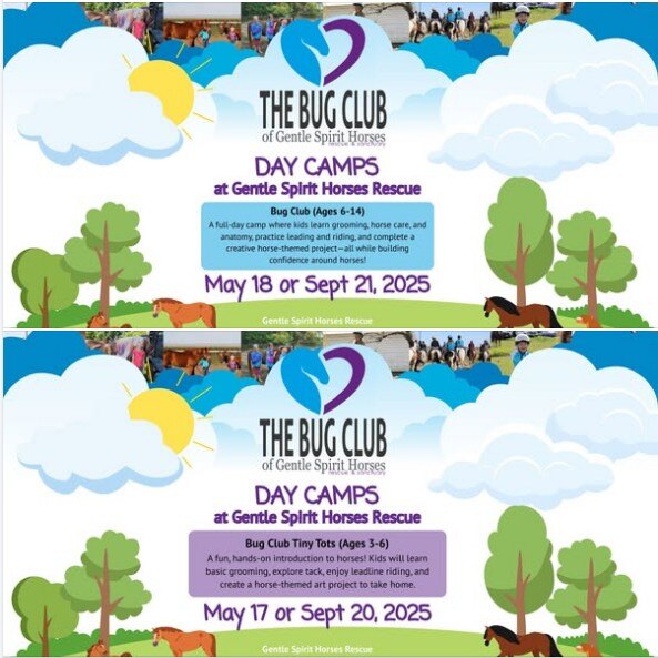 Bug Club Day Camps Are Coming!